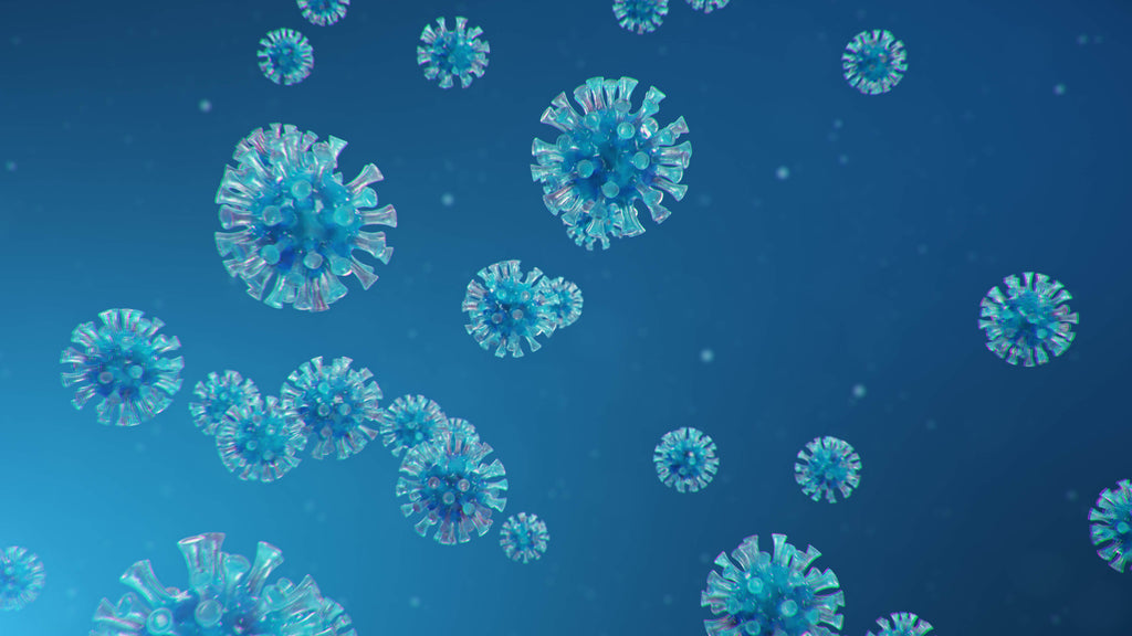 How to Remove Viruses from Drinking Water – Fresh Water Systems