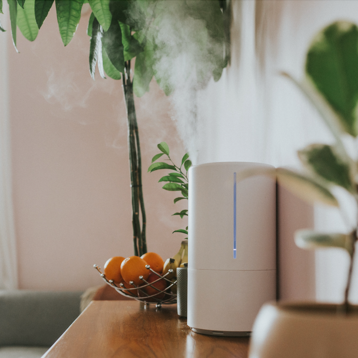 What Type of Water for a Humidifier? – Fresh Water Systems