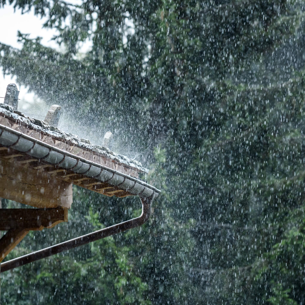 How to Conserve Water at Home with a Rainwater Harvesting System ...