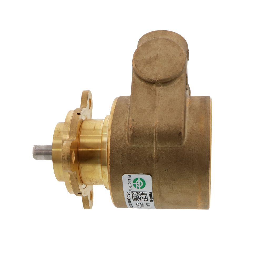 Fluid-o-Tech PB801 Lead Free Brass Rotary Vane Pump 250 gph 1/2" NPT ...