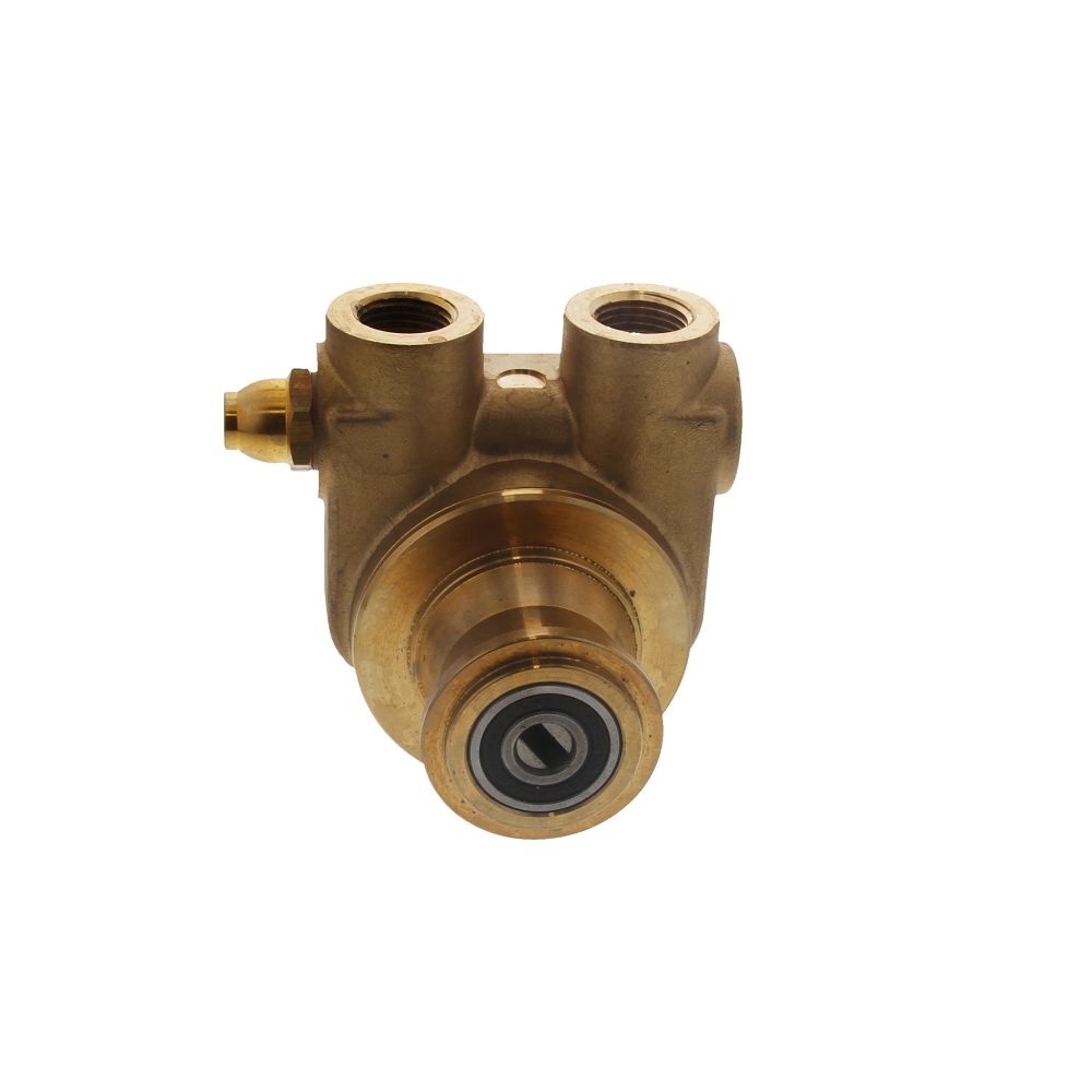 Fluid-o-Tech Lead Free Brass Rotary Vane Pump with Brass Key 240 gph 1 ...