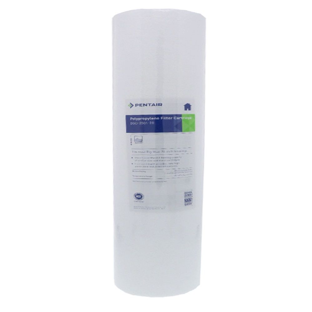 Pentair 20" BB Graded Density Polypropylene Sediment Filter 25/01 mic ...