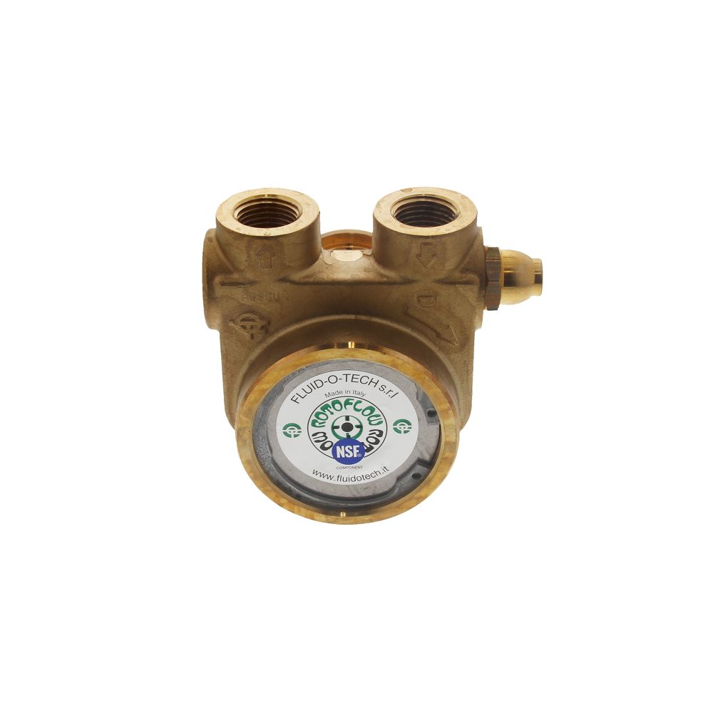 Fluid-o-Tech Lead Free Brass Rotary Vane Pump with Brass Key 240 gph 1 ...