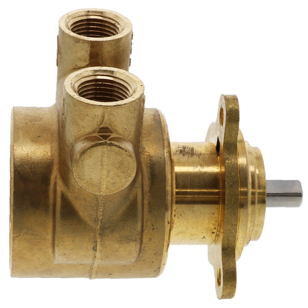 Procon Pump NSF Brass 330 GPH 1/2" NPT w/ Single Flat Drive (Bolt-on ...