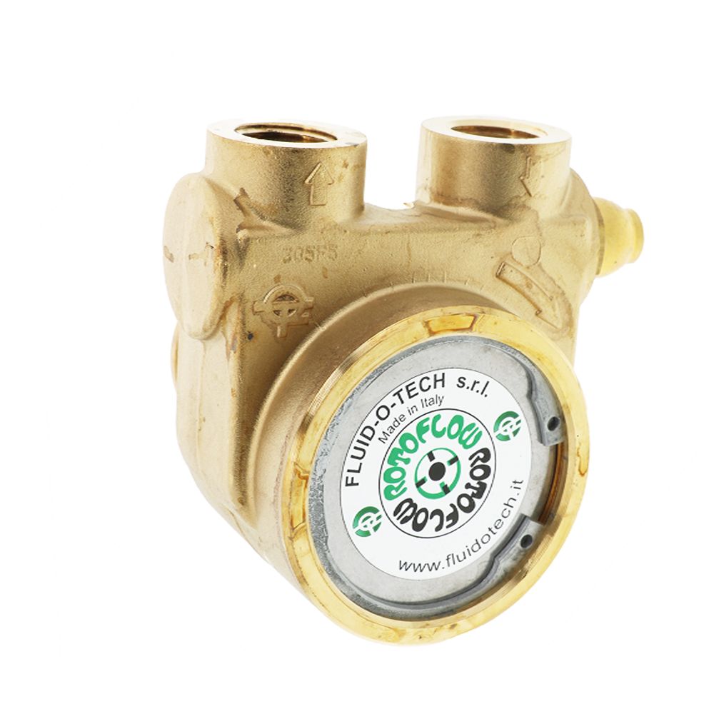 Fluid-o-Tech Lead Free Brass Rotary Vane Pump with Brass Key 190 gph 1/ ...